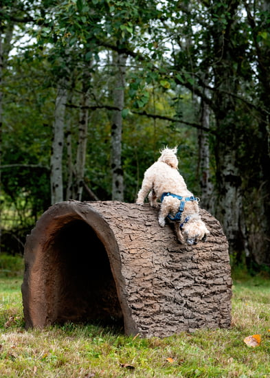 NatureDog™ Dog Through the Log Tunnel