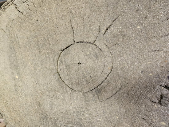 NatureDog™ Stump Jump Set