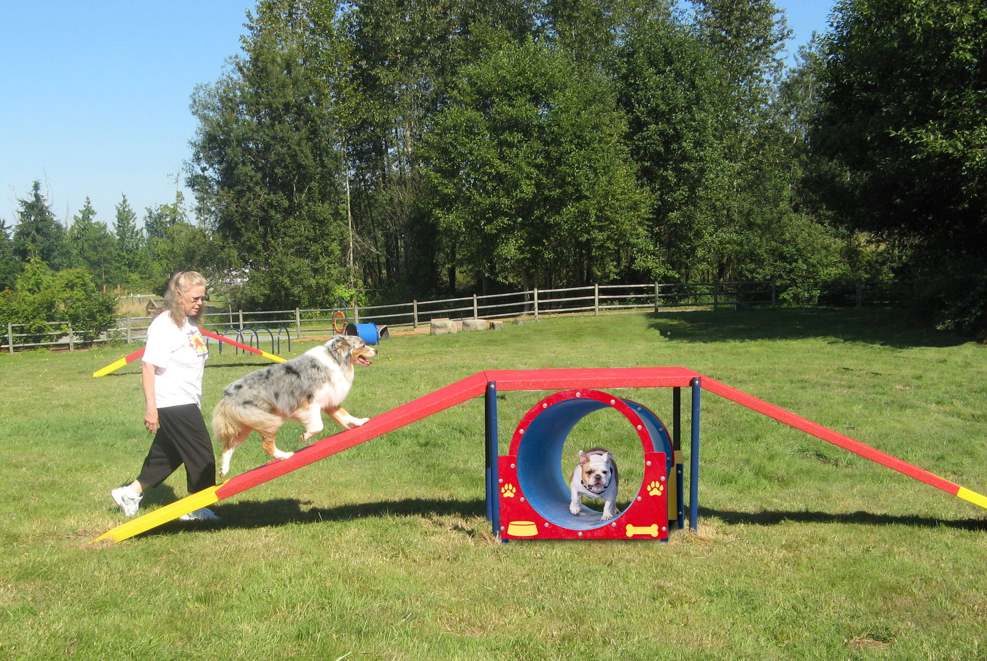 Bow Wow Dog Park Ramp & Tunnel Set