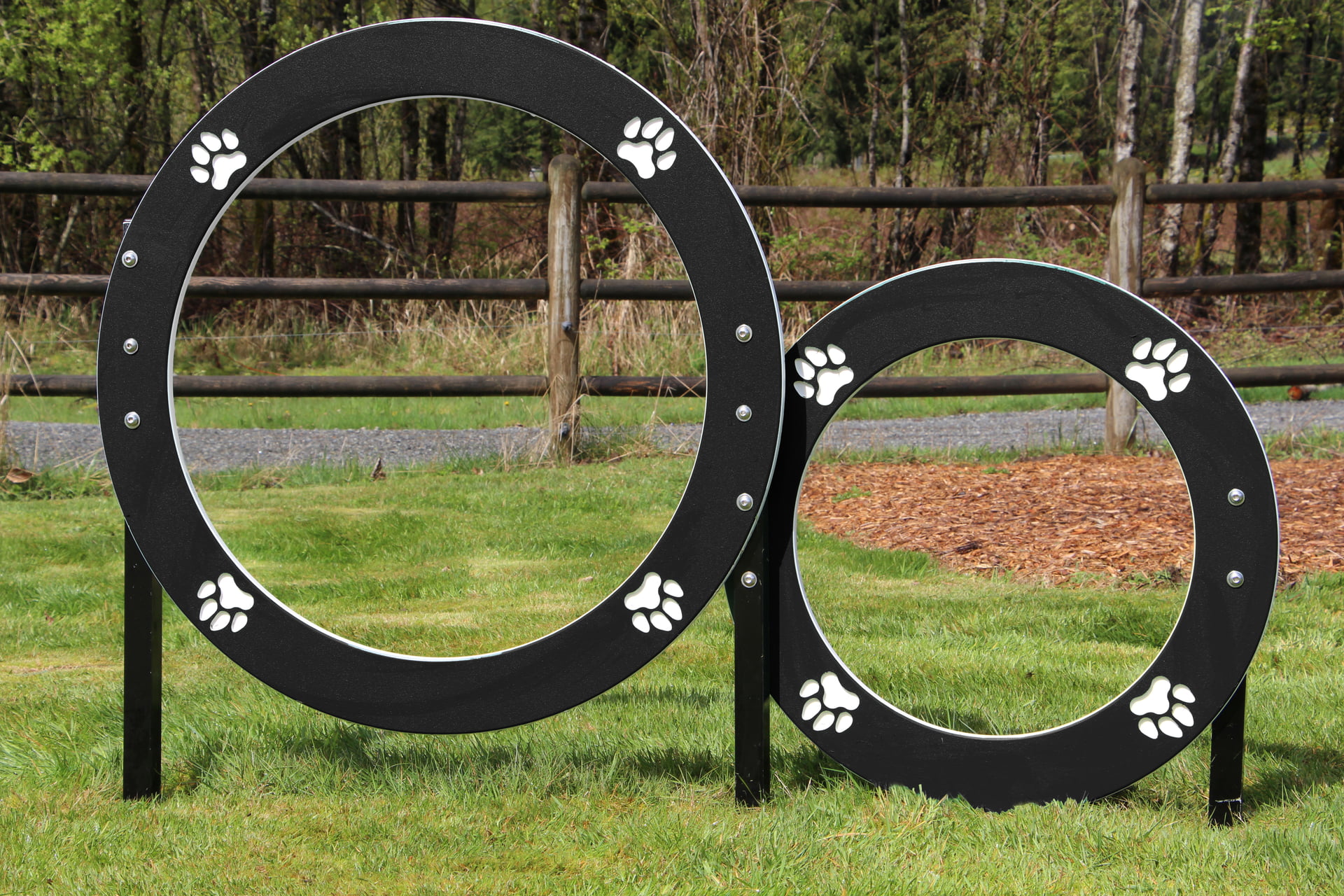 Double Hoop Jump for Dog Parks