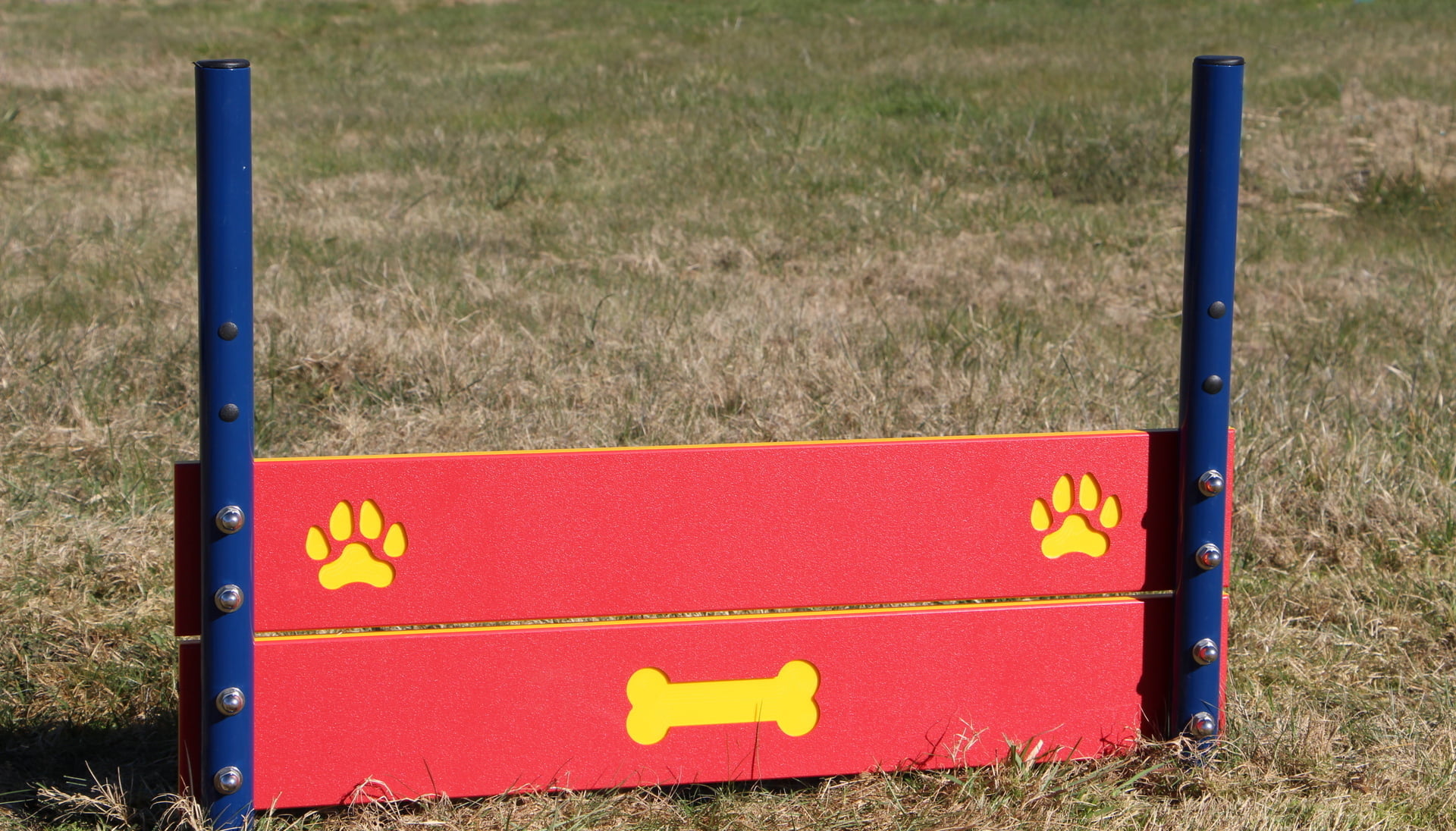 Double Wall Jump for Dog Parks