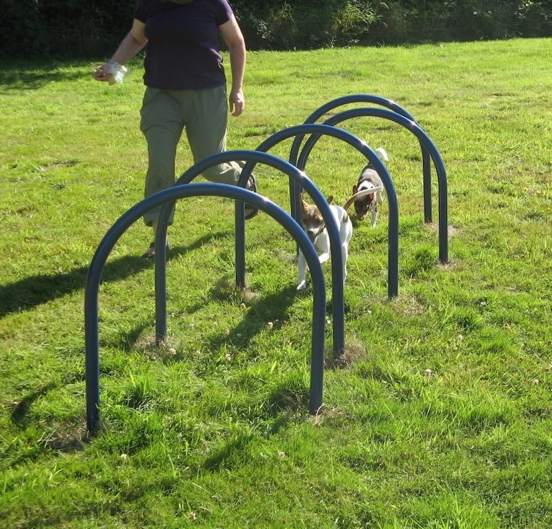 Hound Hoops™ (Set of 5) Dog Park Agility Equipment