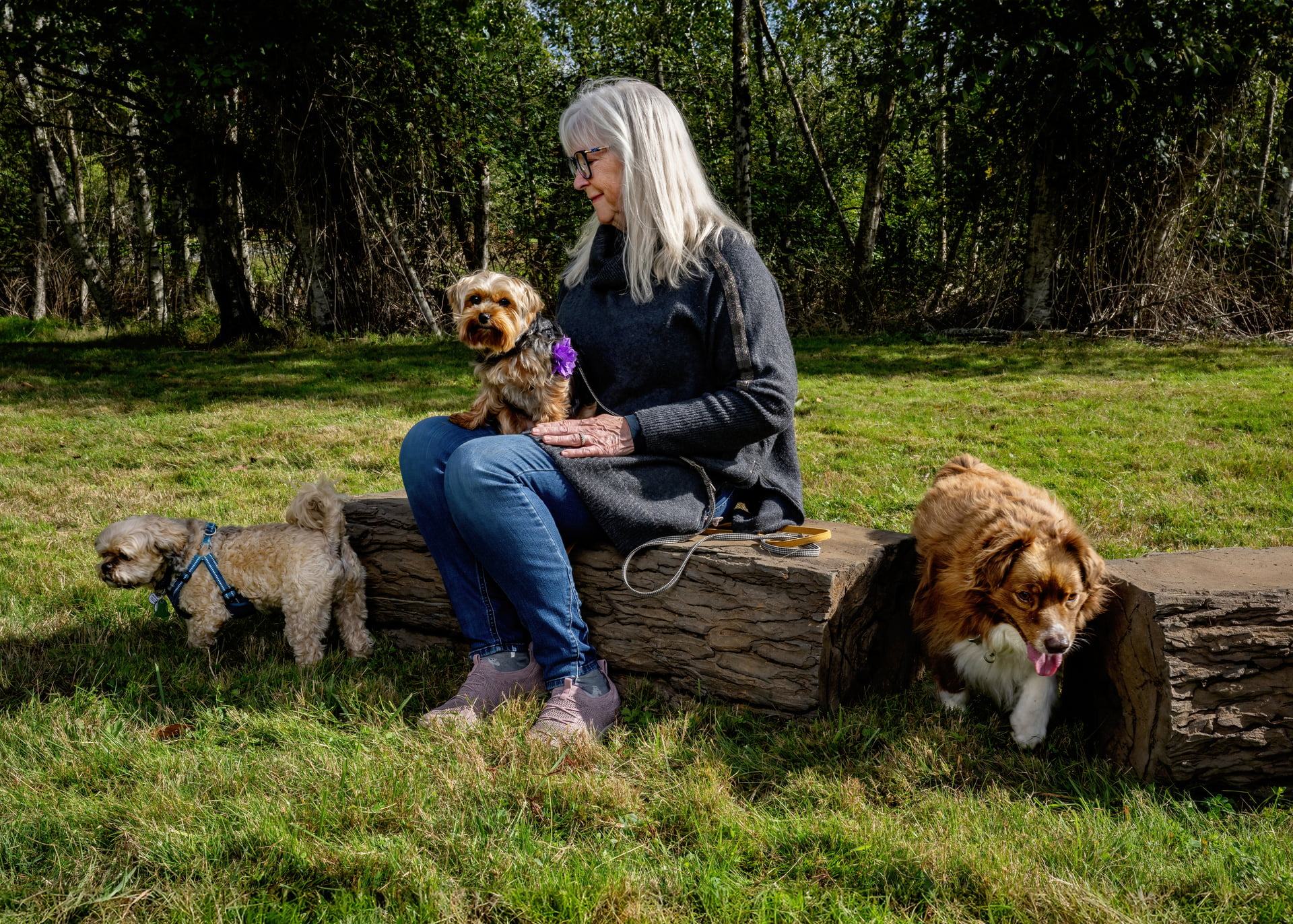 NatureDog™ Dog Leg Walk