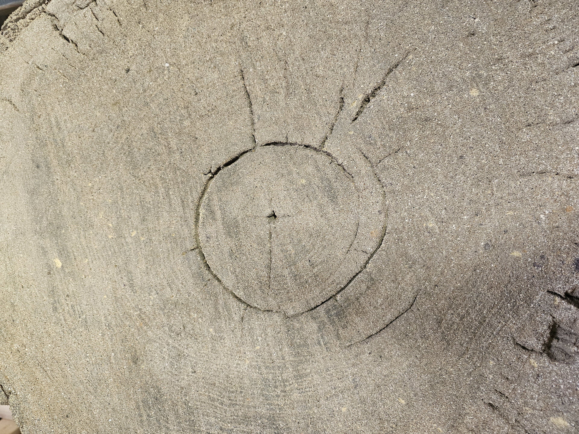 NatureDog™ Little Stump Jump for Dog Parks