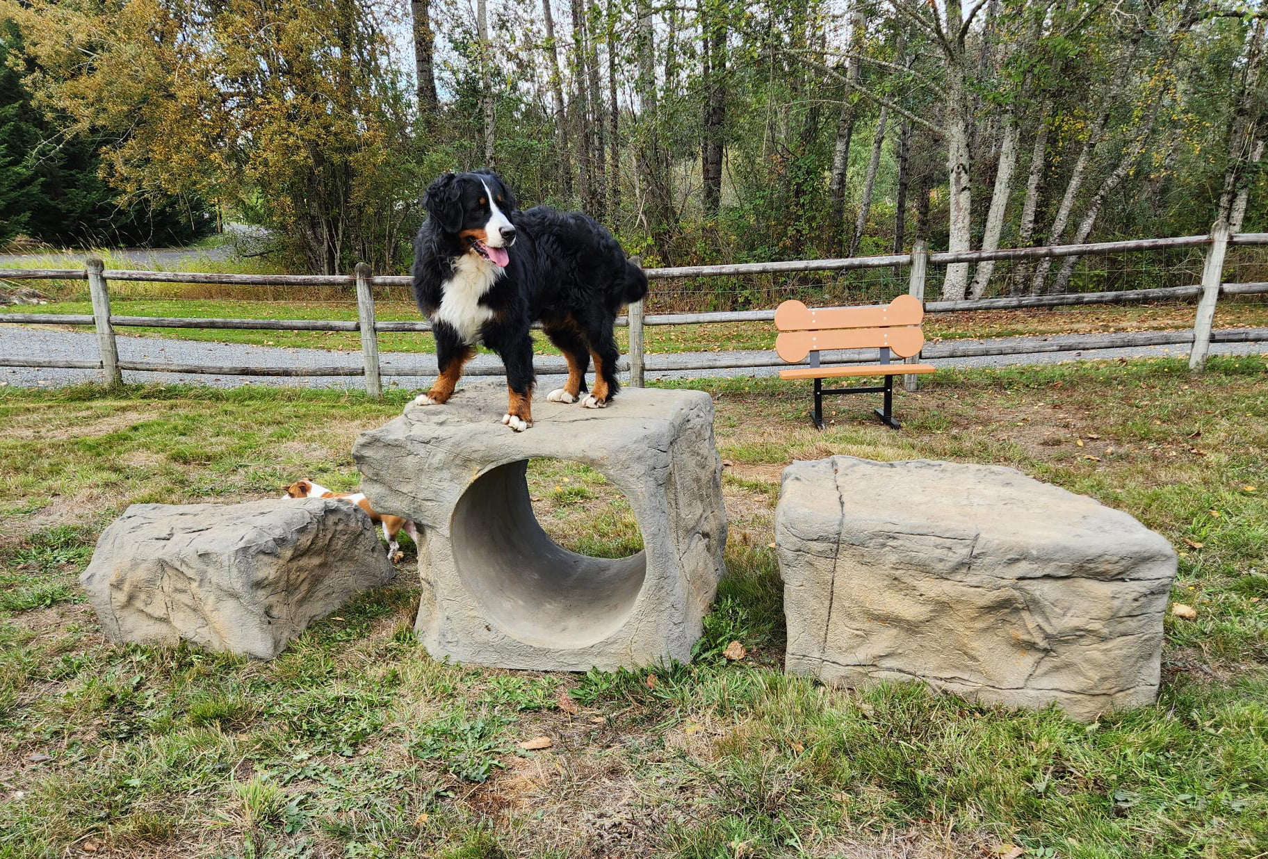 NatureDog™ Boulder Run Set
