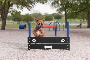Quick Ship Dog Park Products & Equipment
