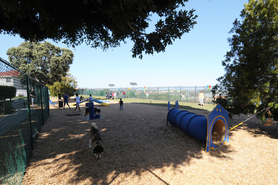 Engineered Wood Fiber