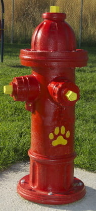 Dog Park Fire Hydrant